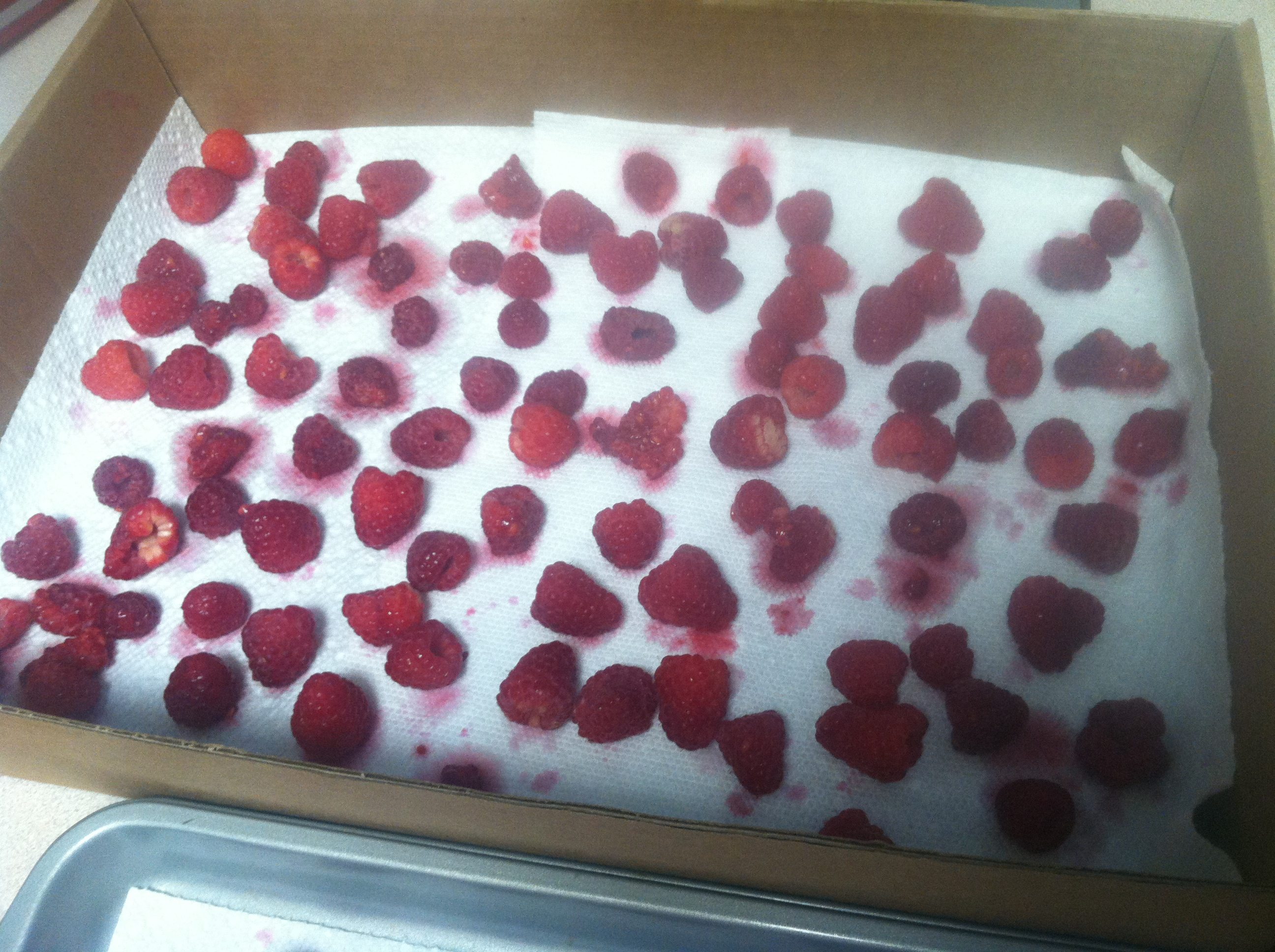 How to Freeze Berries and other Summer Fruits | Wholesomely Fit